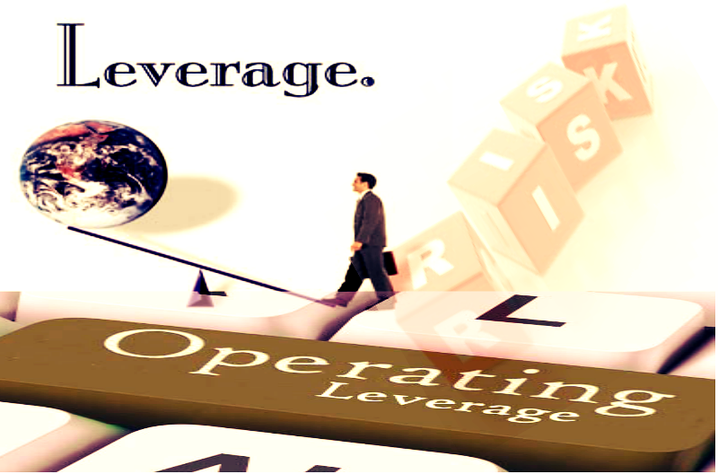 Business Risk Analysis Through The Concept Of Leverage