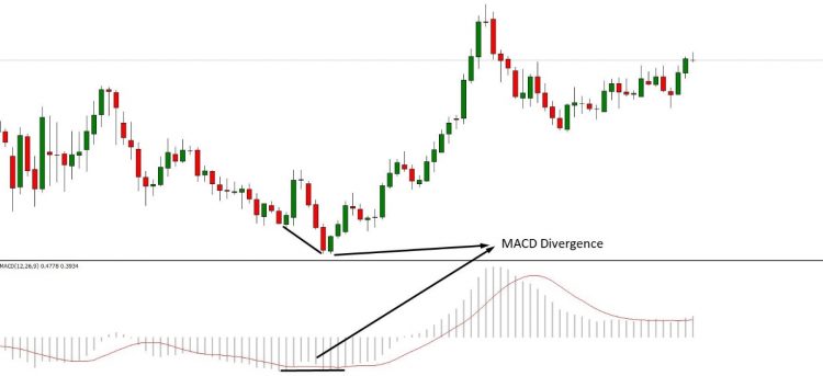 Top 10 Forex Indicators Every Trader Should Know