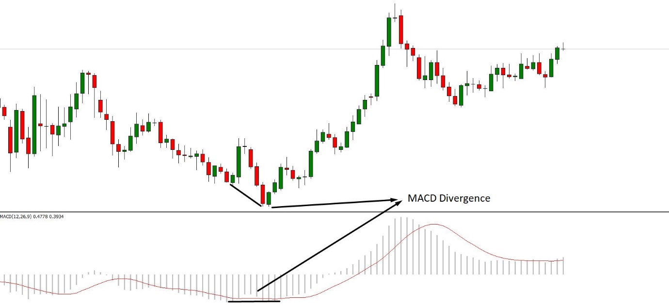 Top 10 Forex Indicators Every Trader Should Know